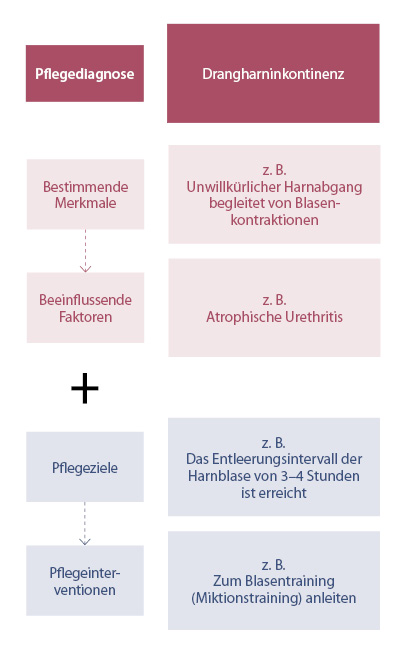 Pflegeklassifikation NANDA International – Offizieller Lizenzinhaber ...